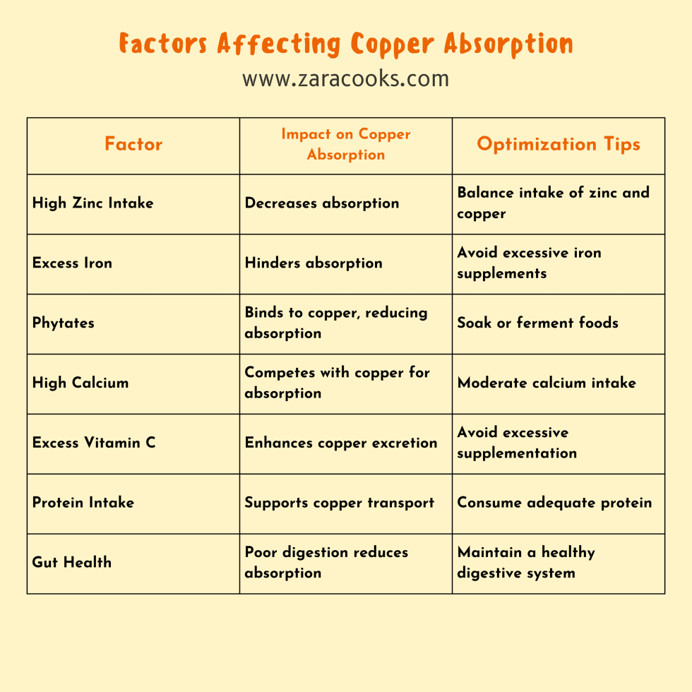 How Your Body Handles Copper: Absorption, Transport, and Regulation ...